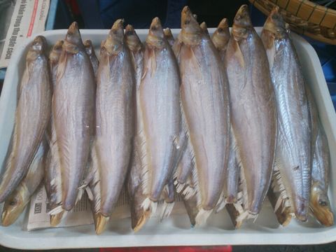 Khô cá trèn bầu, khô cá kết đặc sản ngon Miền Tây