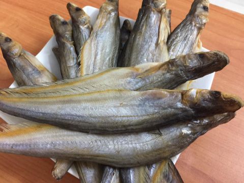 Khô cá trèn bầu, khô cá kết đặc sản ngon Miền Tây