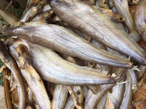 Khô cá trèn bầu, khô cá kết đặc sản ngon Miền Tây