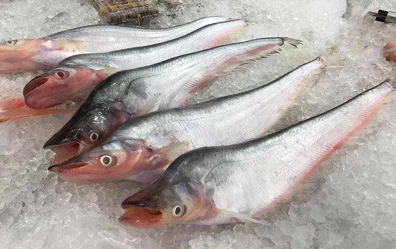 Khô cá trèn bầu, khô cá kết đặc sản ngon Miền Tây